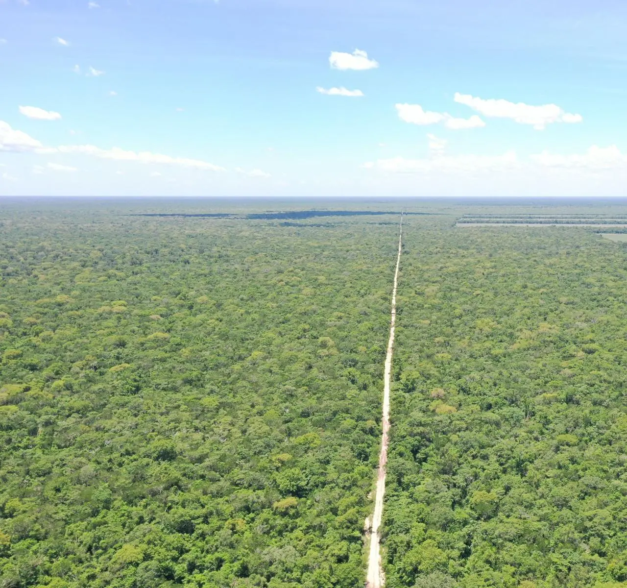 Vendo Hectareas En El Chaco Paraguayo. Asunción bienes raíces